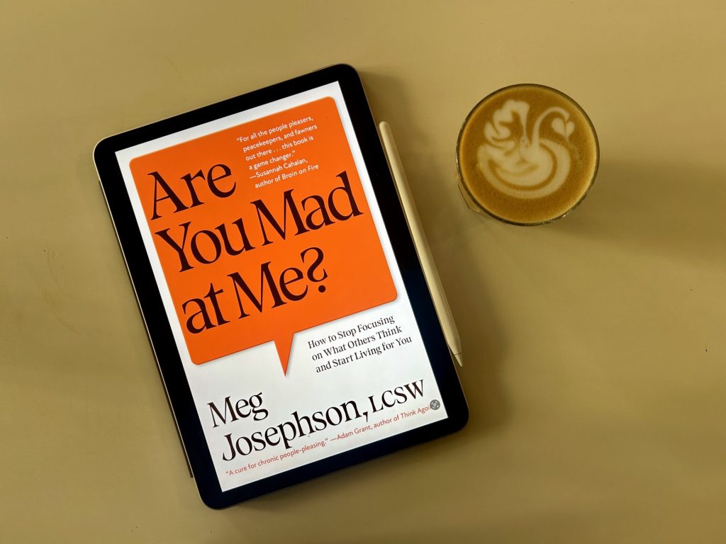 Review and Summary: Are You Mad at Me?